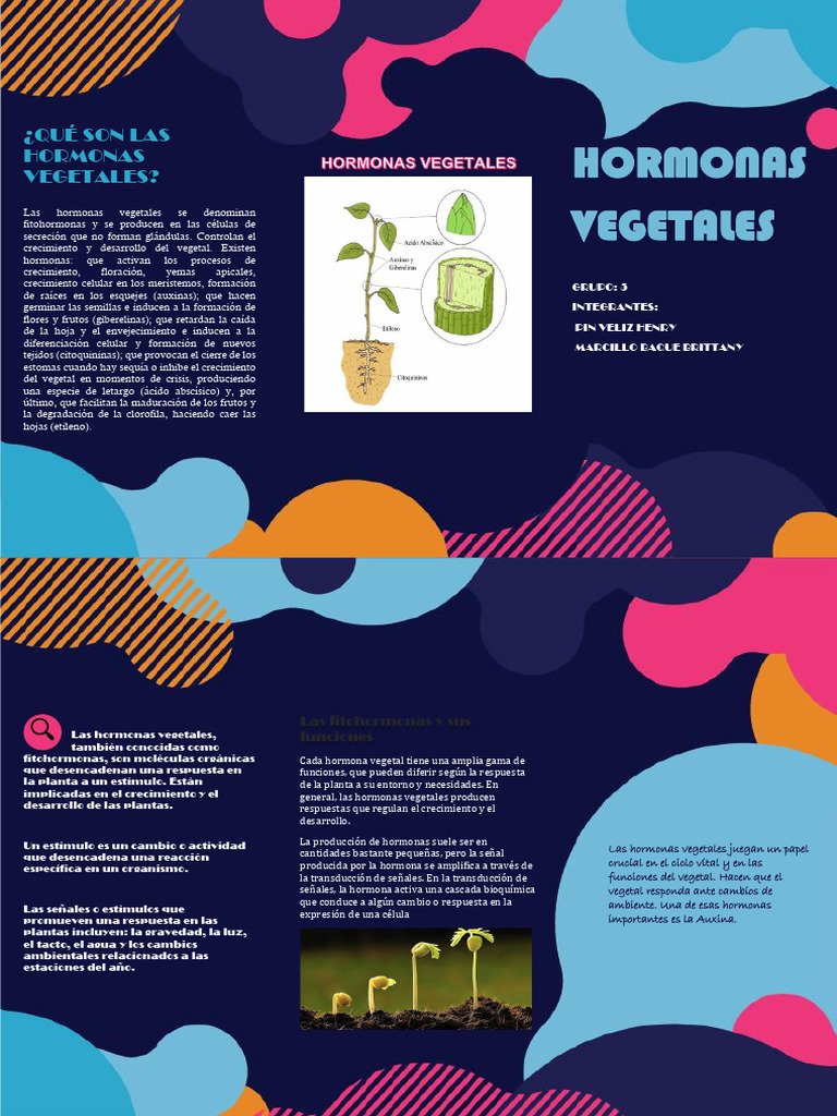 Qué Son Las Hormonas Vegetales | PDF | Hormona Vegetal | Plantas