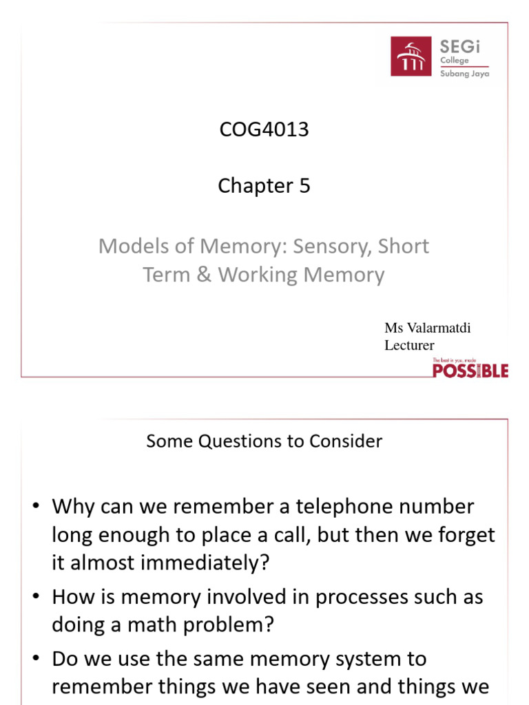 Chapter 5 | PDF | Memory | Working Memory