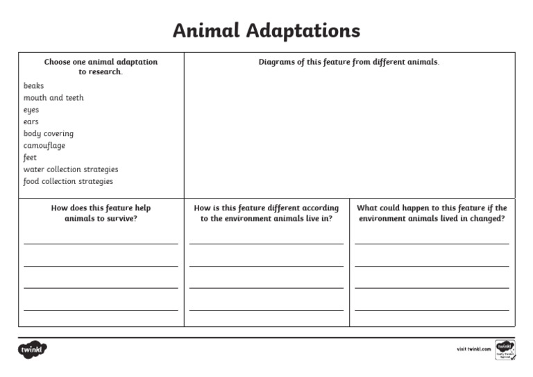 Walrus Adaptations for Survival | PDF | Language Arts & Discipline ...