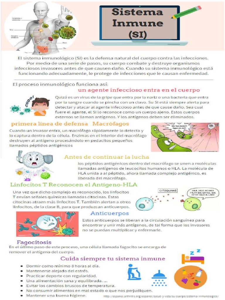 Sistema Inmune | PDF