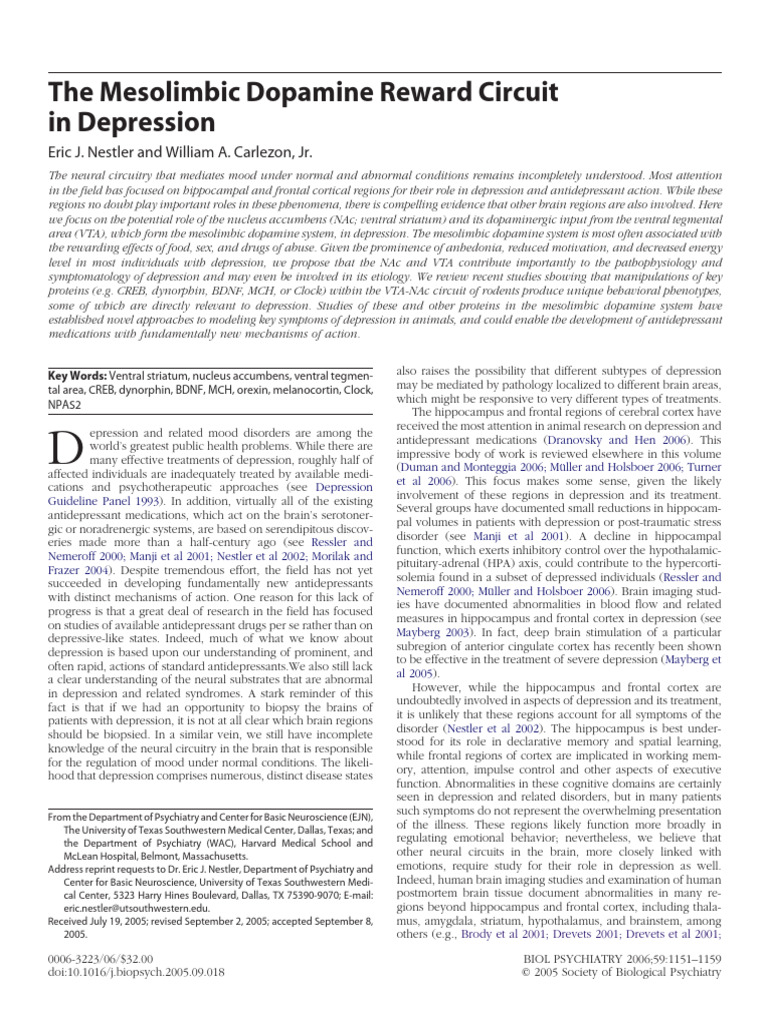 2005 Eriv J. Nestler The Mesolimbic Dopamine Reward Circuit in ...