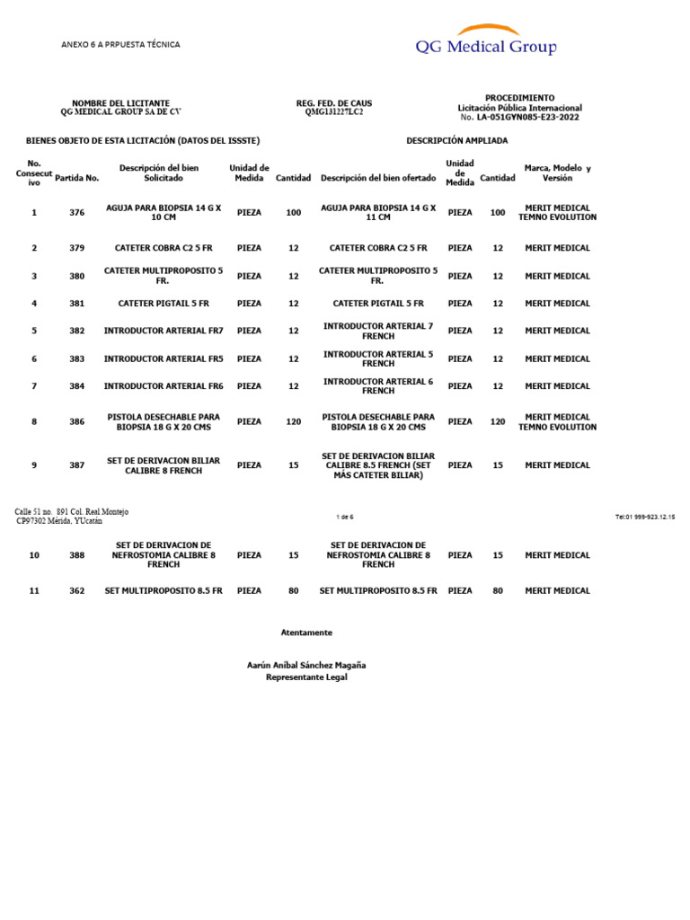 Anexos 6a 6b y 7 Excel E23-2022 | PDF