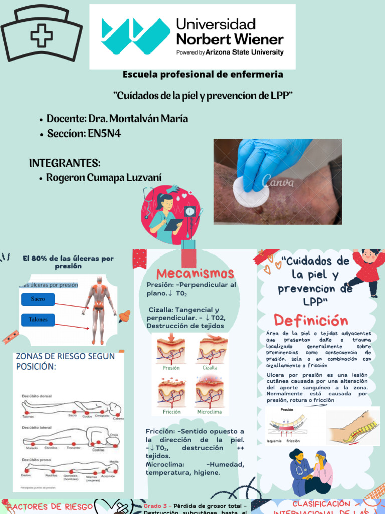 Cuidados de La Piel y Prevencion de LPP | PDF