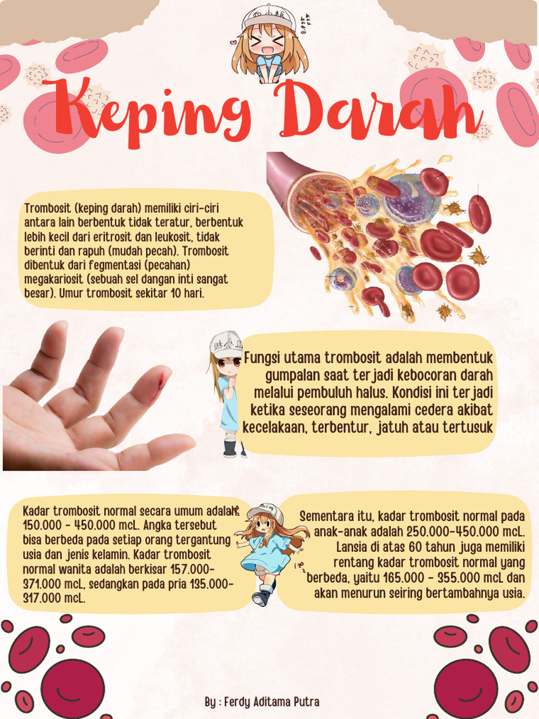 Keping Darah (Trombosit) | PDF