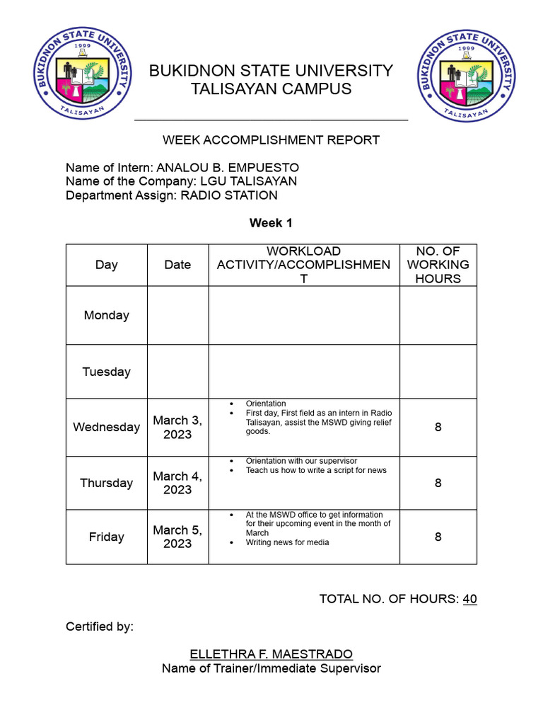 Weekly Accomplishment Report: Intern Activities | PDF