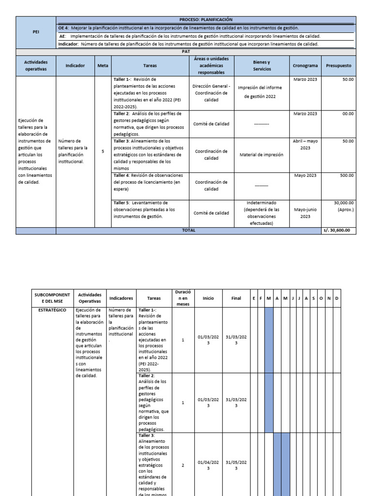 Ficha Ssss | PDF | Planificación | Monitoreo y evaluación