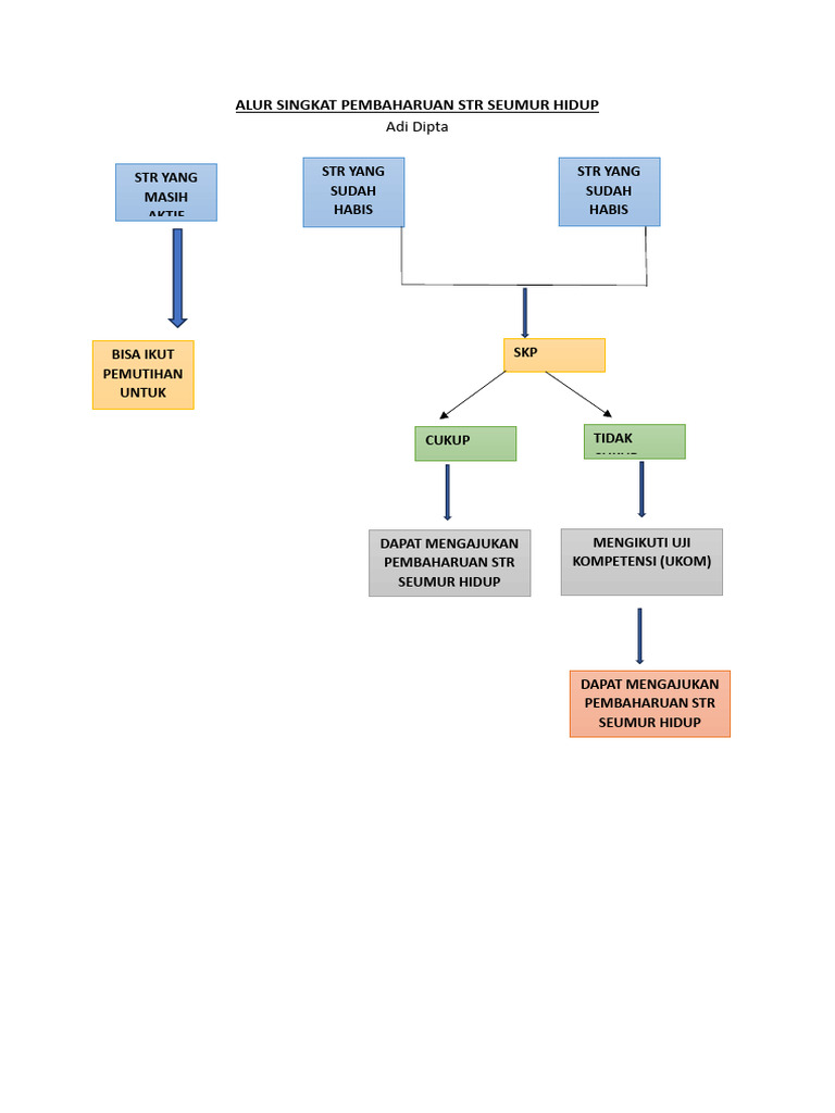 Alur Singkat Pembaharuan STR Seumur Hidup | PDF