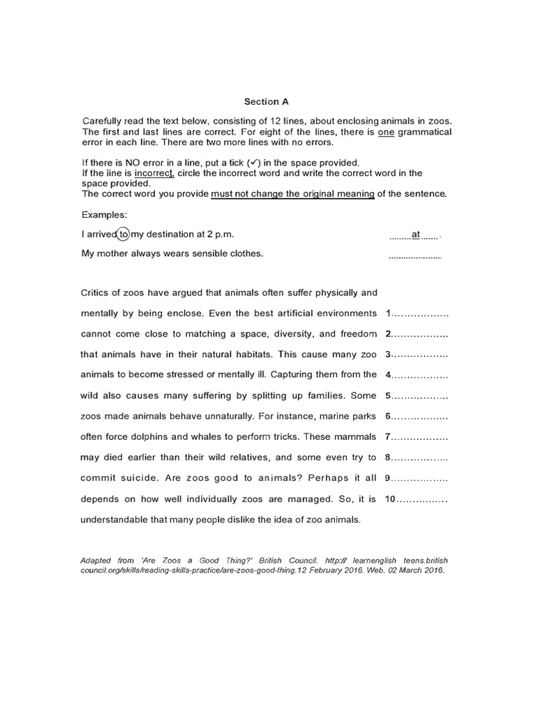Lower Secondary English Paper A | PDF | Zoo | Monkey