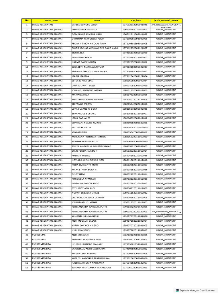 ProgressAnomali BKN Untuk Dinkes 2 | PDF