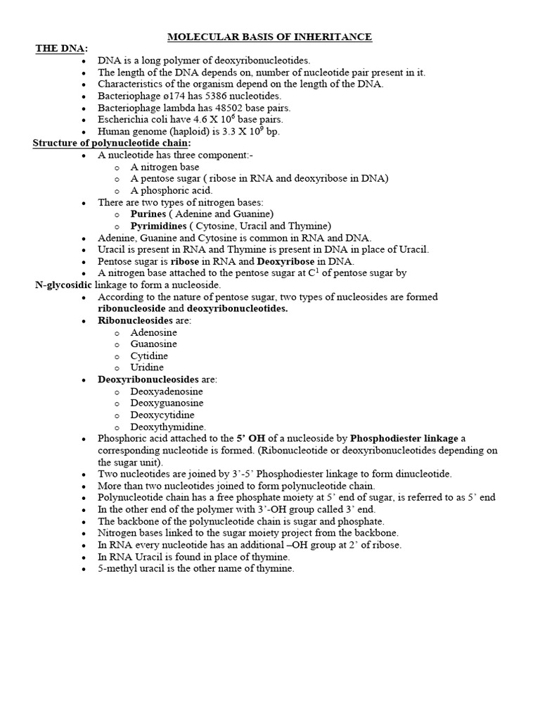 Molecular Basis of Inheritance | PDF | Operon | Rna