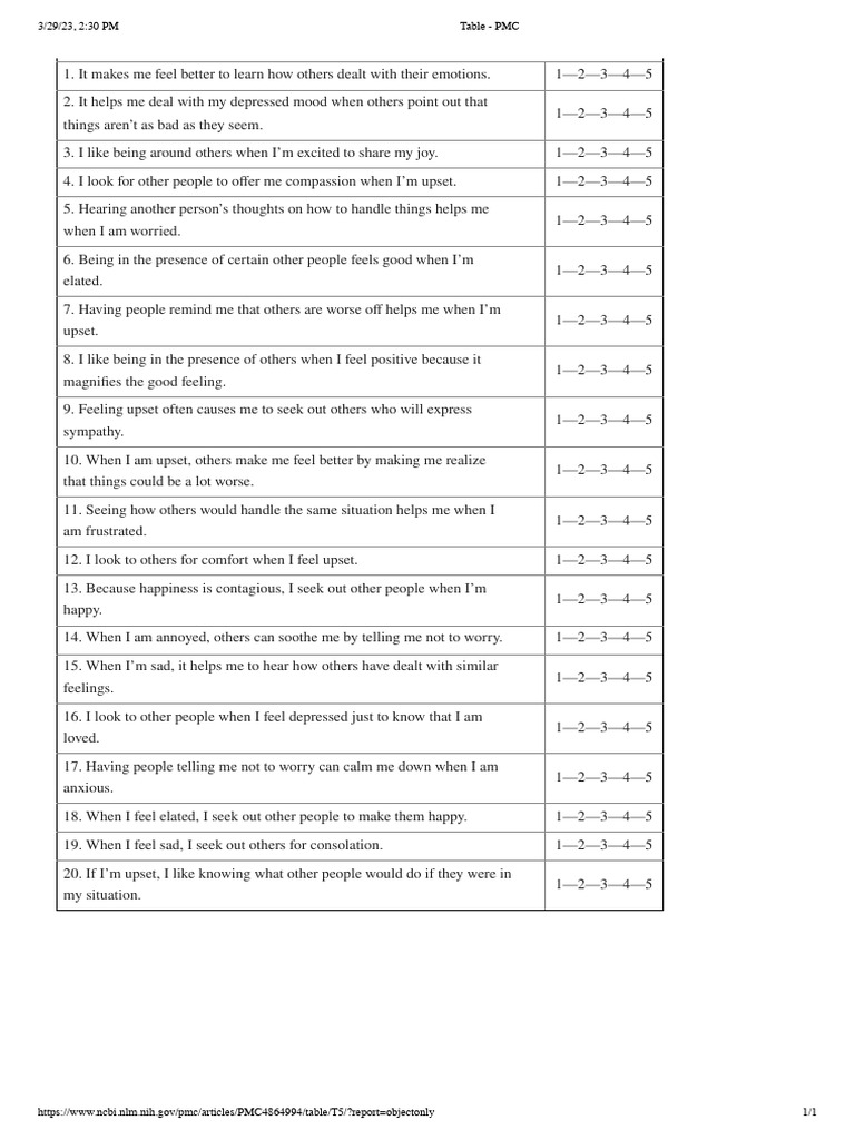 IERQ | PDF | Feeling | Psychological Concepts