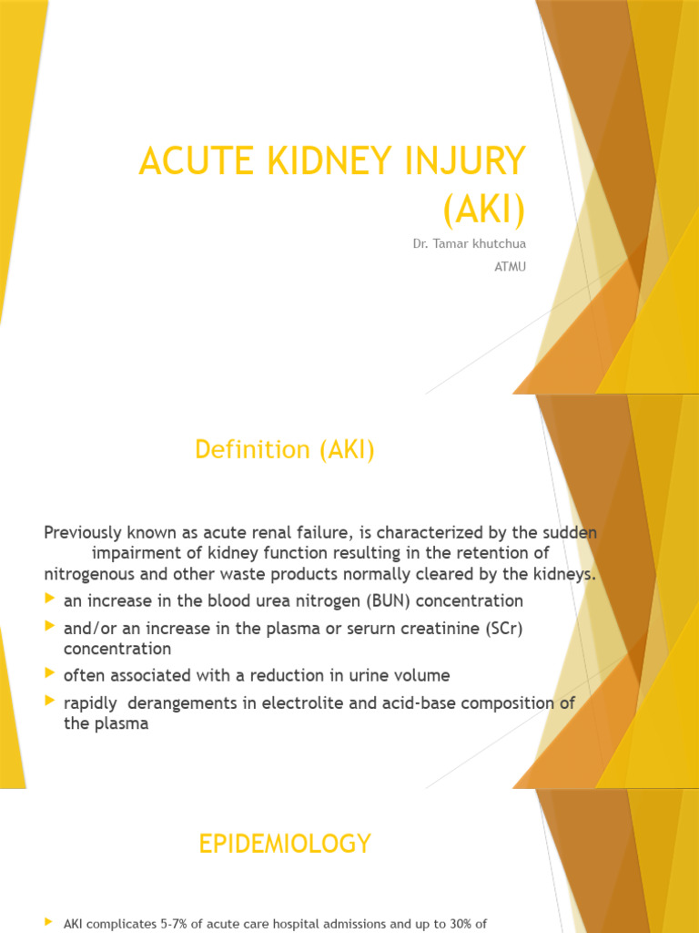 Acute Kidney Injury Care Plan | PDF | Medical Specialties | Clinical ...