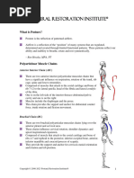 Human Skeleton All Bones Chart | PDF | Musculoskeletal System ...
