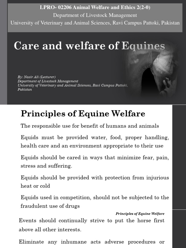 7-Care and Welfare of Equines | PDF | Horses | Animal Welfare