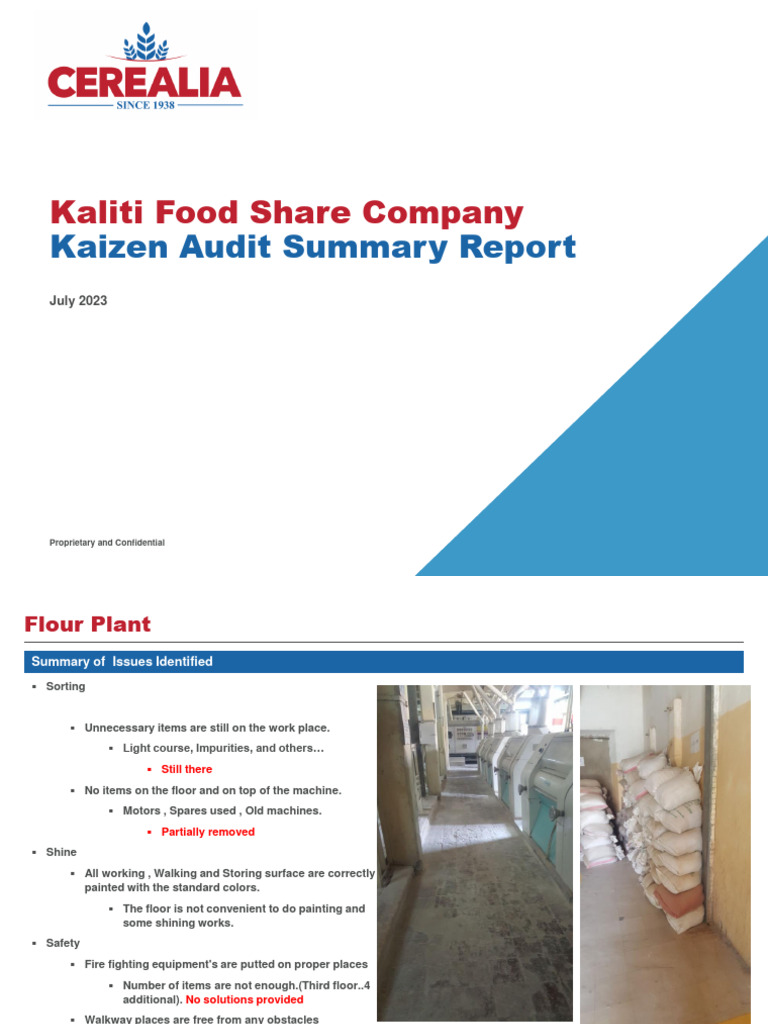 Audit Report Week 2 July 14 Kaizen | PDF