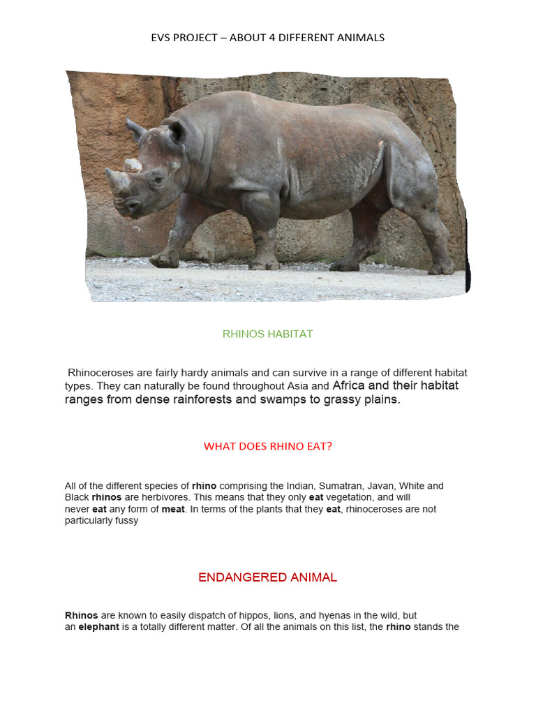 RHINOS | PDF | Rhinoceros | Tiger