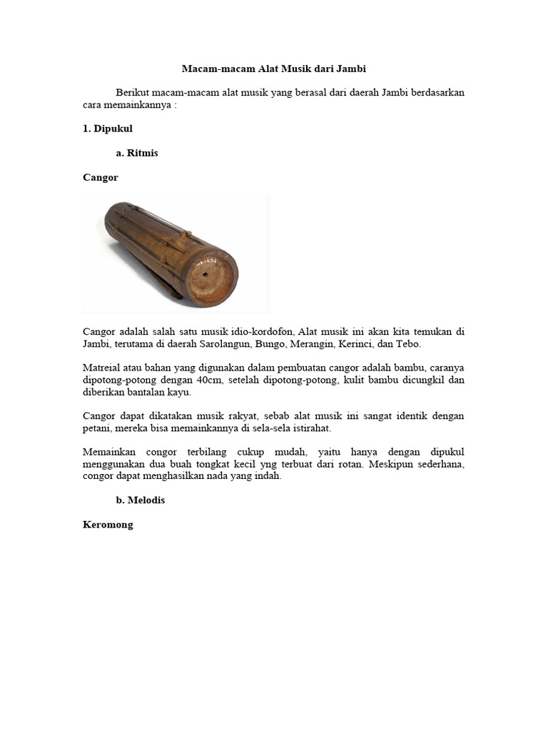 Macam Macam Alat Musik Dari Jambi Pdf