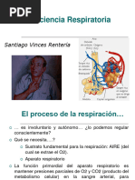 Estructura Anatómica de Las Vías Aéreas Altas y Bajas | PDF | Sistema ...