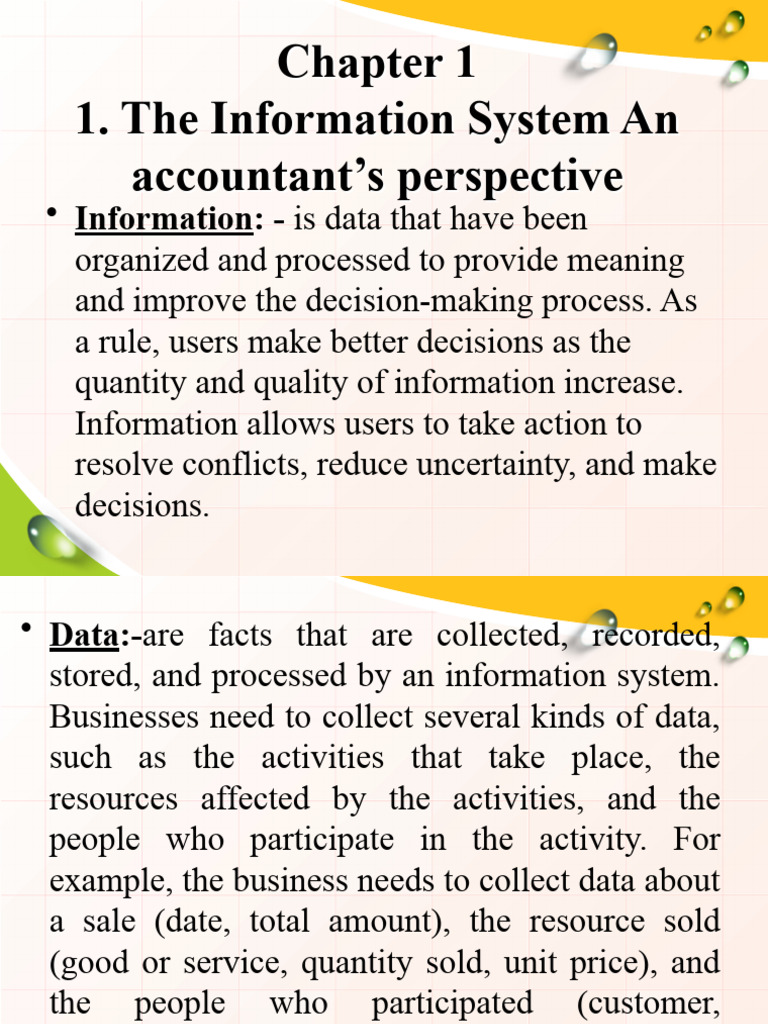 The Information System An Accountant's Perspective | PDF | Systems Theory | Information ...