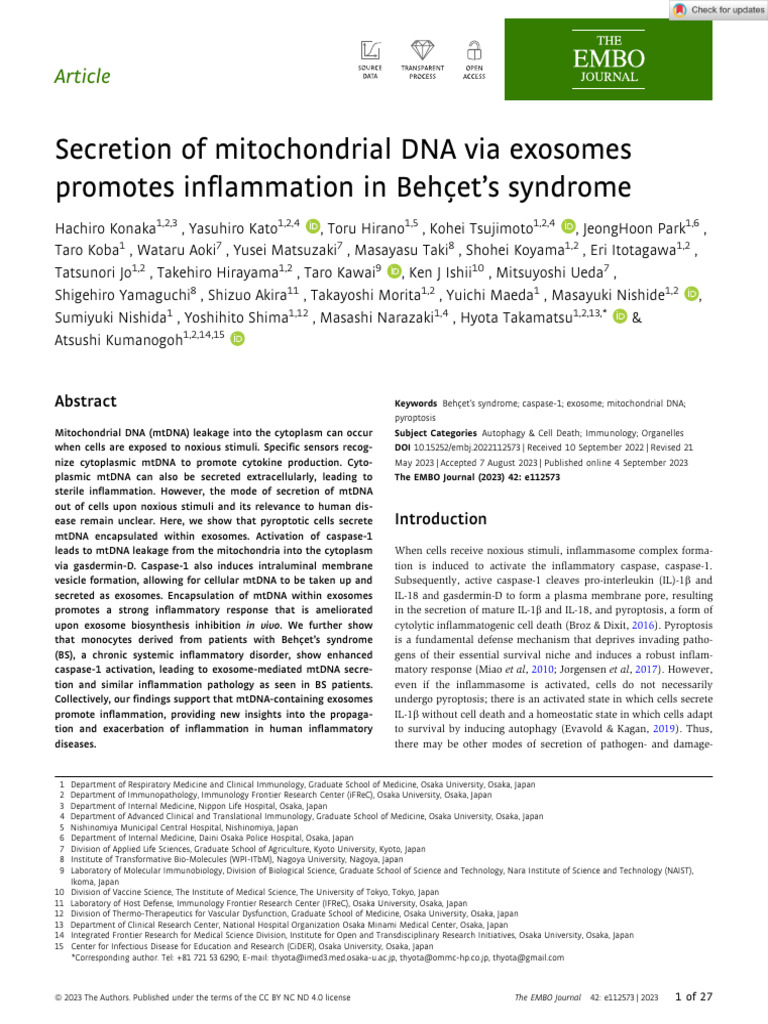 The EMBO Journal - 2023 - Konaka - Secretion of Mitochondrial DNA Via ...