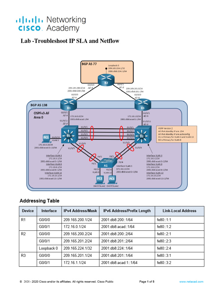 23.1.4 Lab - Troubleshoot IP SLA and Netflow | PDF