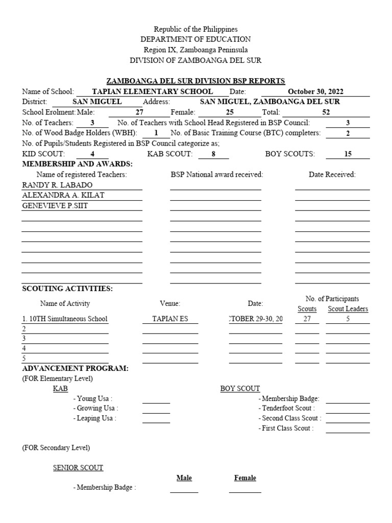 School BSP Report (Sample Elementary School) | PDF | Patriotic And ...