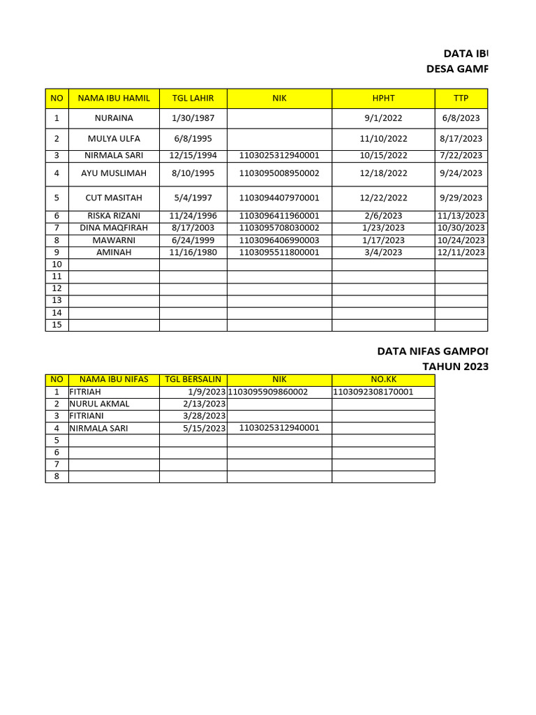 Data Ibu Hamil Dan Nifas | PDF