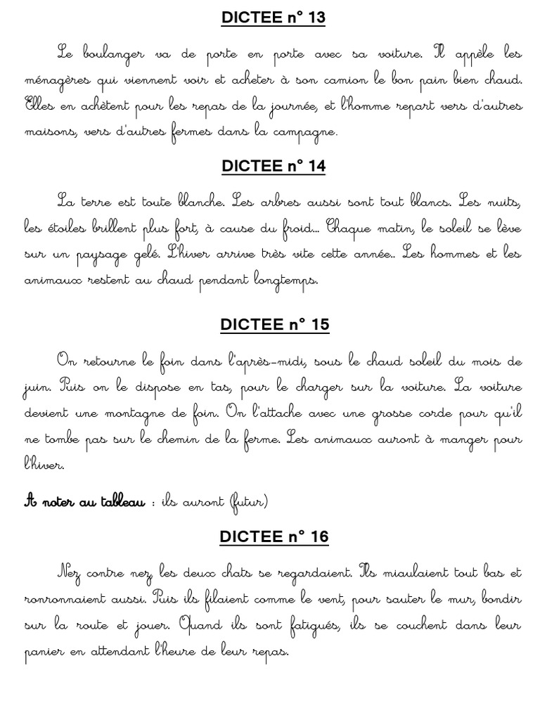 Textes Dictees p3 | PDF