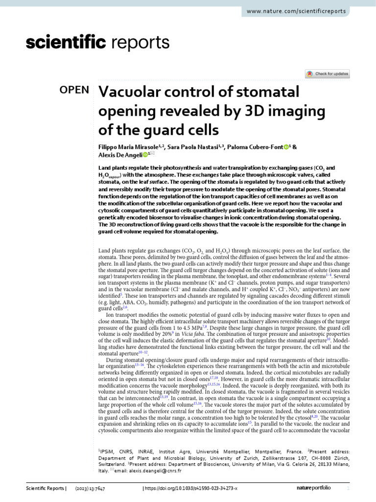 Vacuolar Control of Stomatal Opening Revealed by 3D Imaging of The ...