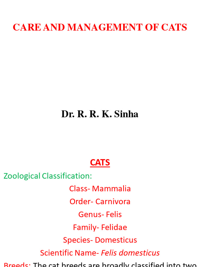 Care and Management of Cats | PDF | Cats | Kitten