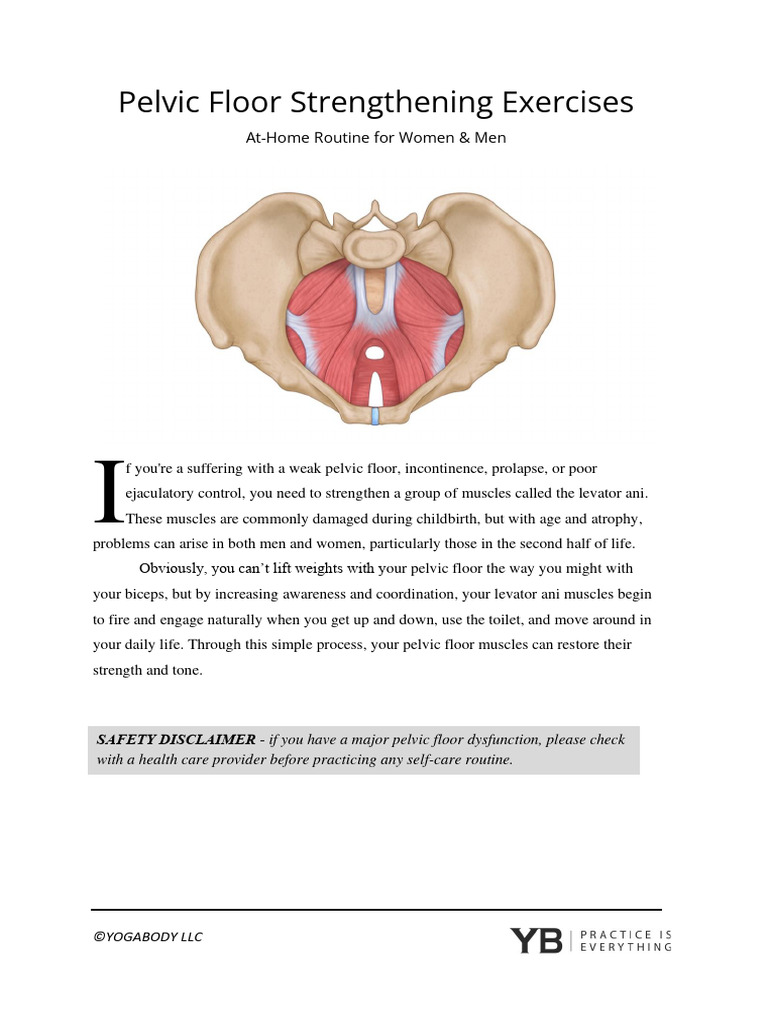 Pelvic Floor | PDF | Pelvis | Medical Specialties