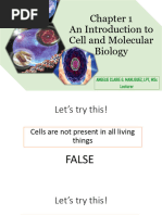 Name: Virtual Microscope by BIONETWORK: Online Edition | PDF | Optical ...