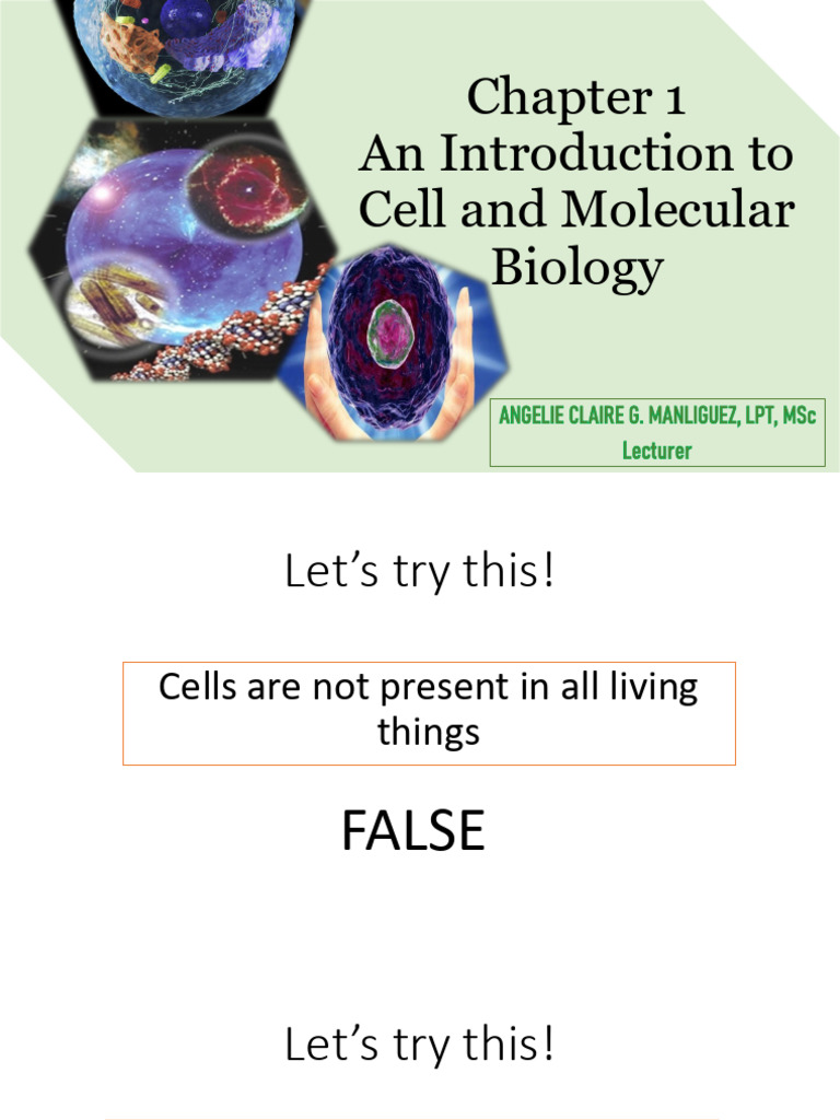 Intro To Cell & Molecular Activity - PPT 1 | PDF