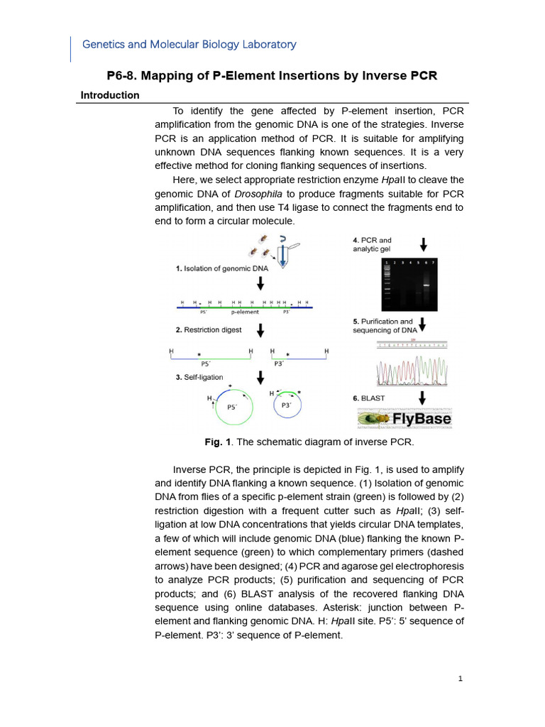 P6-8 Identify P-Flanking Seq | PDF