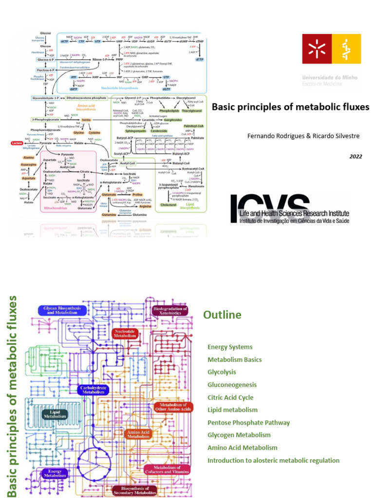 Basic Principles of Metabolic Fluxes | PDF | Glycolysis | Metabolism