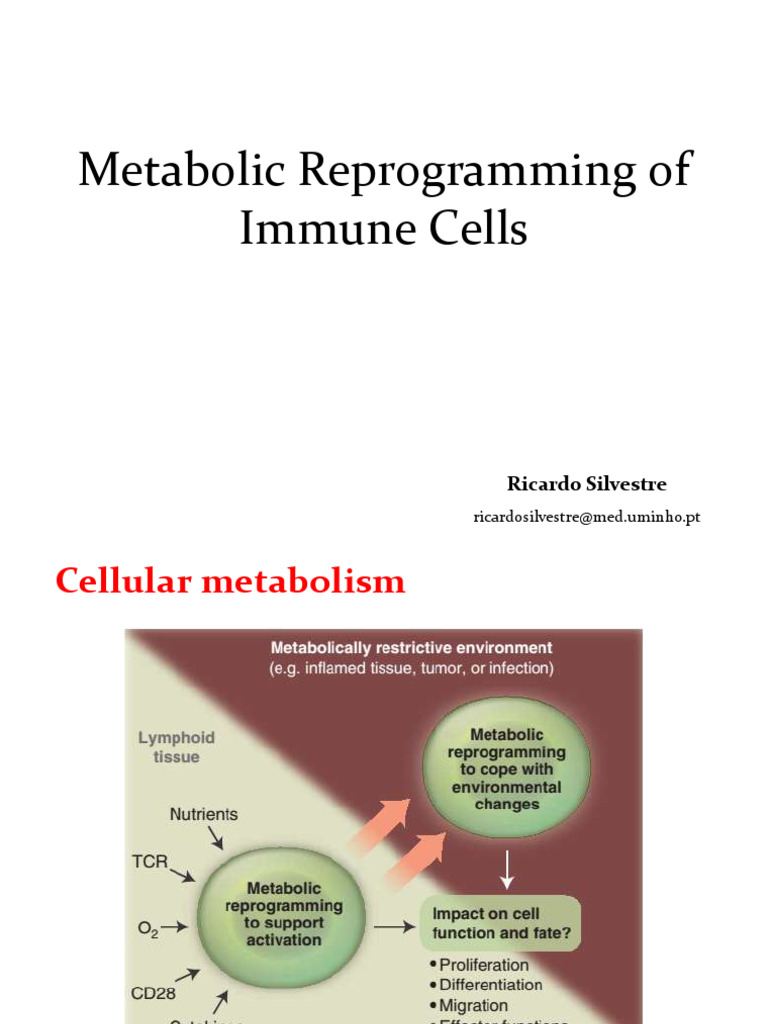 Immune Cell Metabolism Insights | PDF