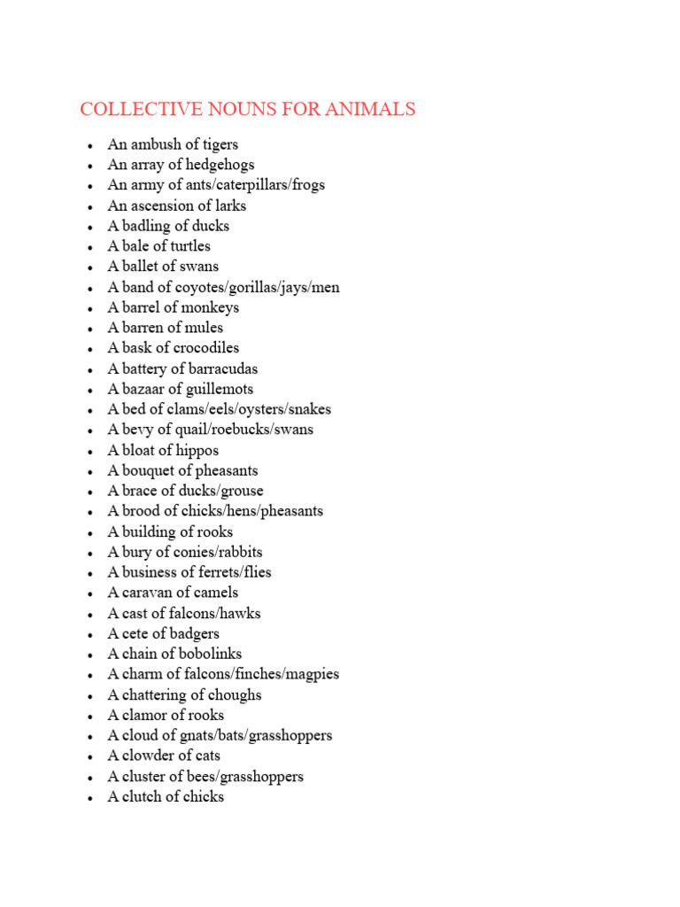 Collective Nouns | PDF | Ornithology | Birds