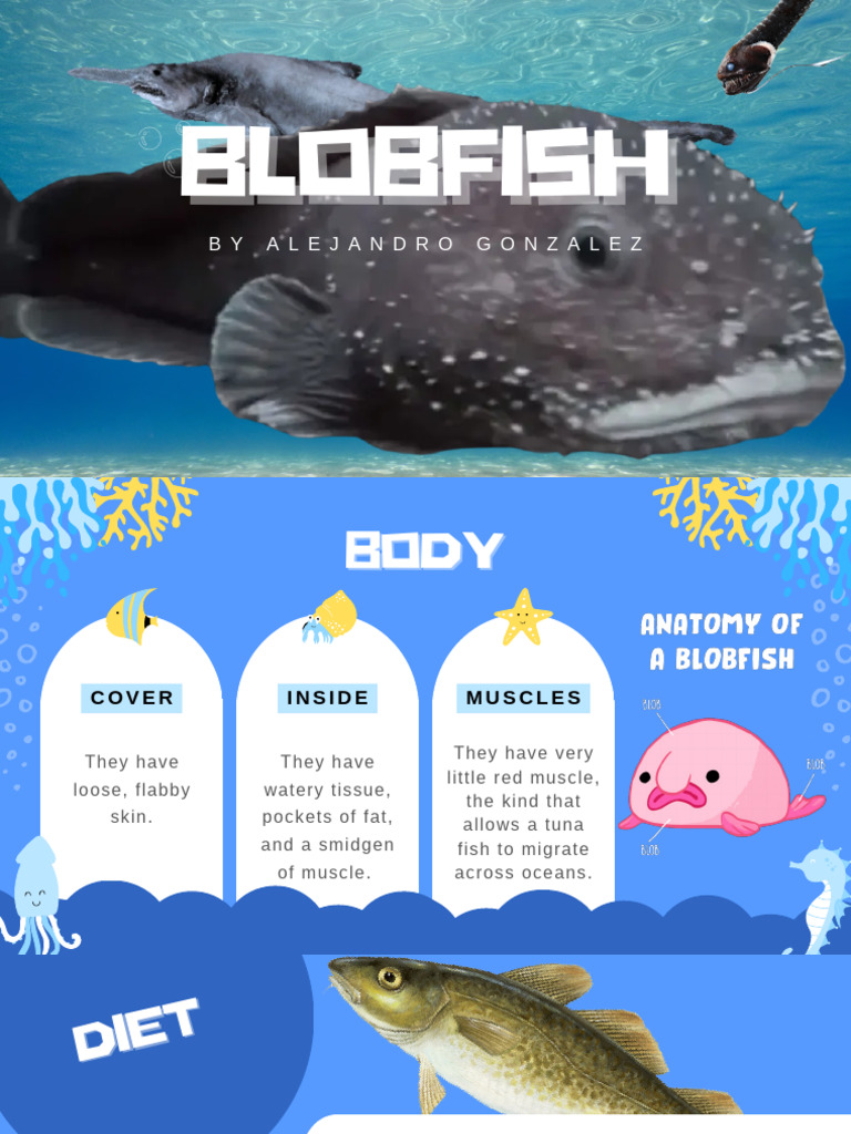 Blobfish | PDF