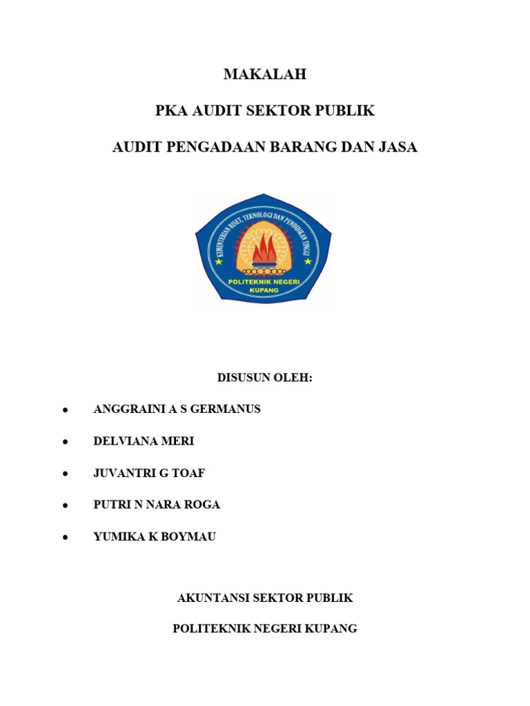 Makalah Pka Audit Sektor Publik Kel 2 | PDF