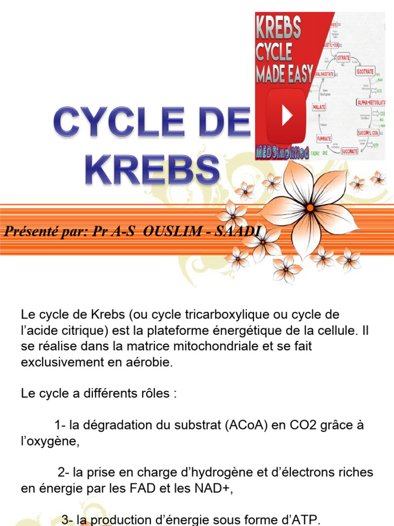 Rôle et étapes du cycle de Krebs | PDF | Régime et nutrition | Chimie