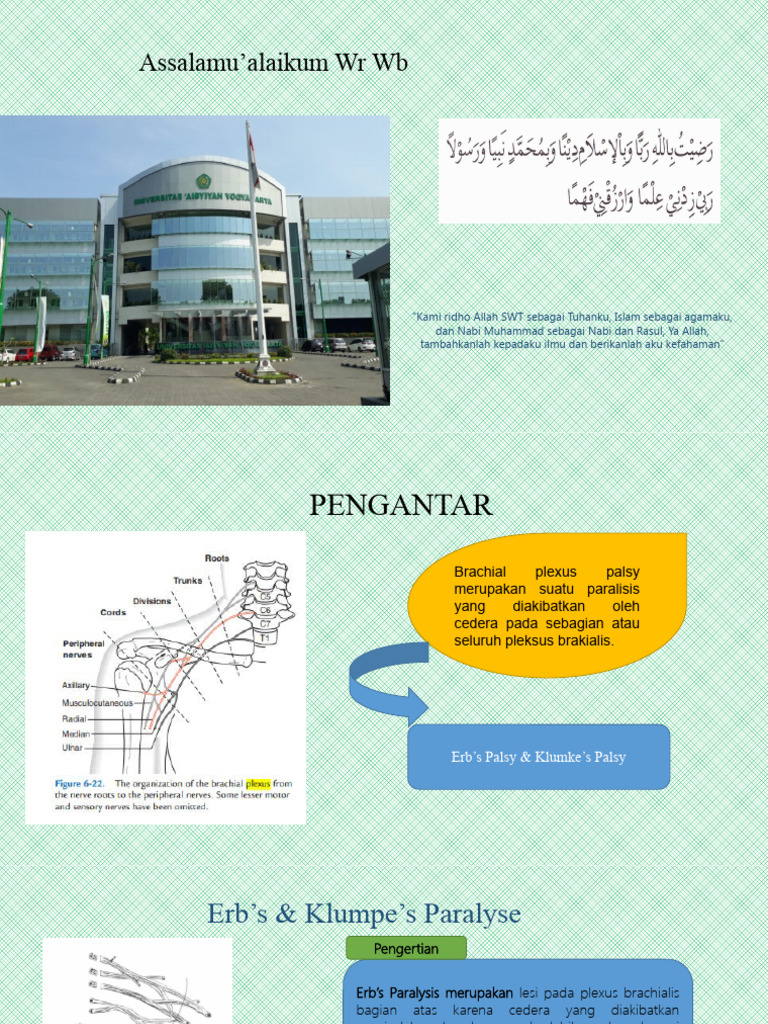 Erb's & Klumpke's Palsy | PDF