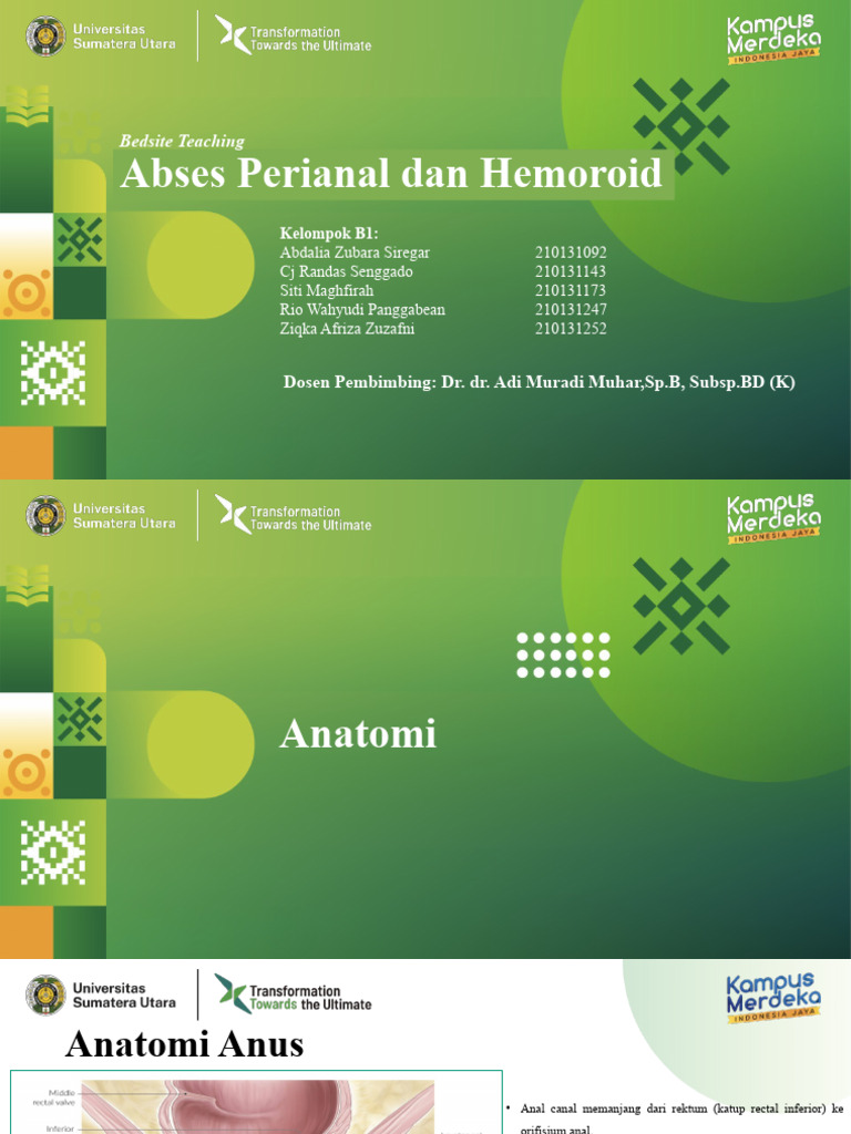 BST B1 - Abses Perianal Dan Hemoroid | PDF