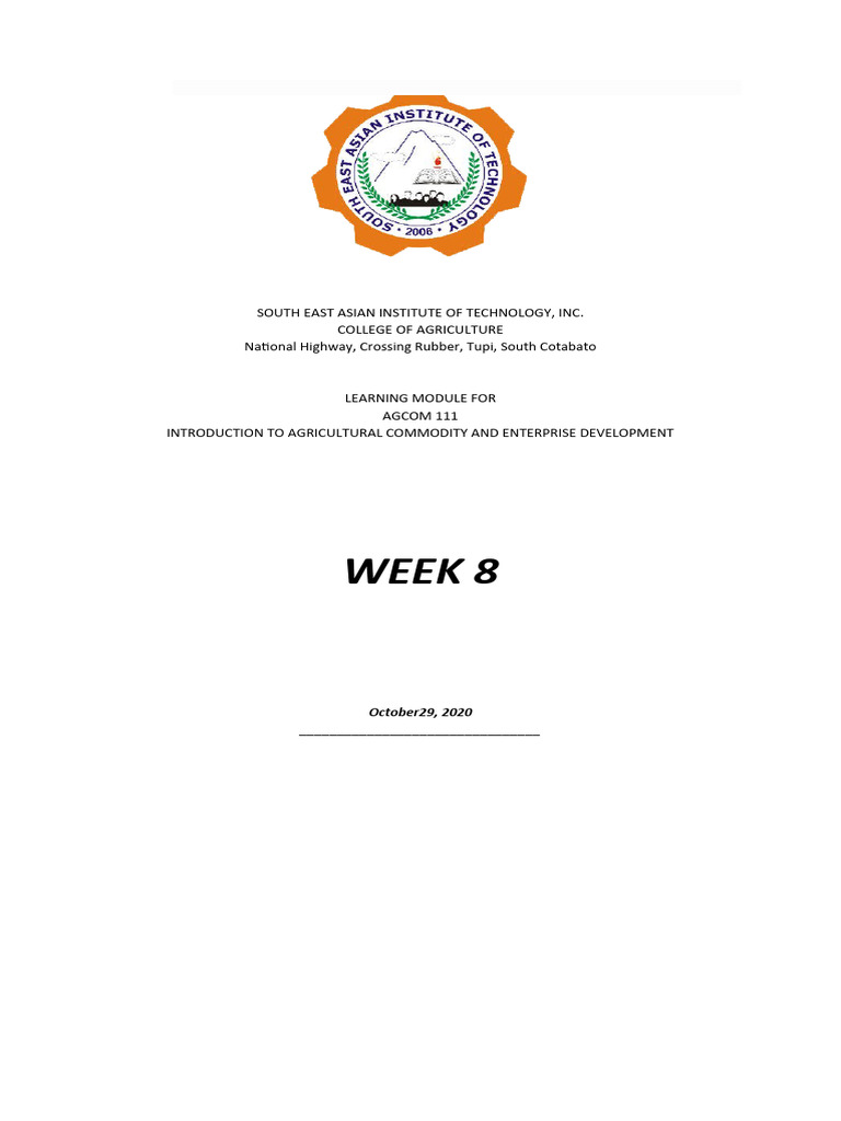 WEEK8 | PDF