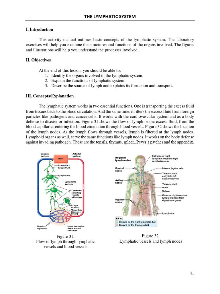 Manual Lymphatic System | PDF | Lymphatic System | Lymph Node