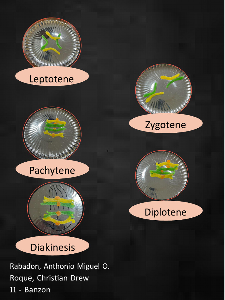 Genbio Documentation | PDF