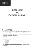 Le Globule Rouge | PDF | Globule rouge | Membrane cellulaire