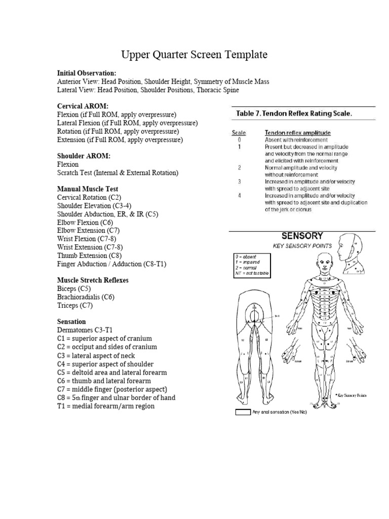 Upper Quarter Screen Template | PDF | Science & Mathematics