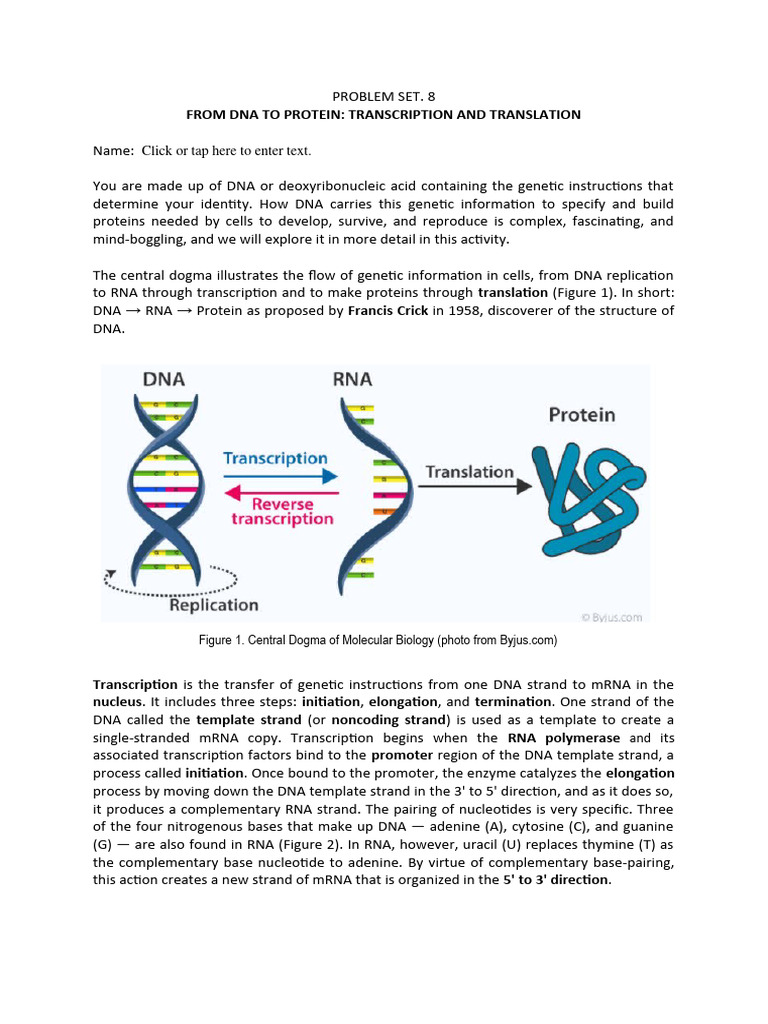 PS8 - From DNA To Protein | PDF | Genetic Code | Dna
