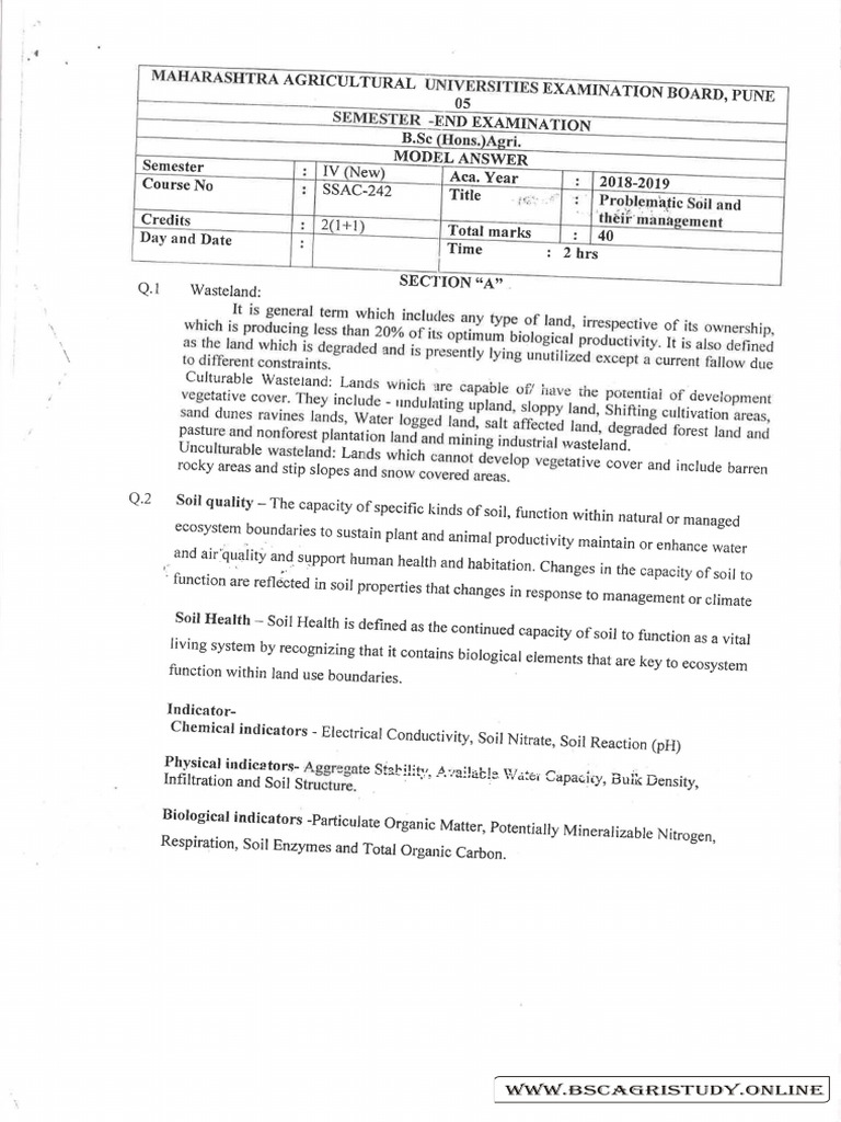Ssac 243 Model Ans 18 19 | PDF