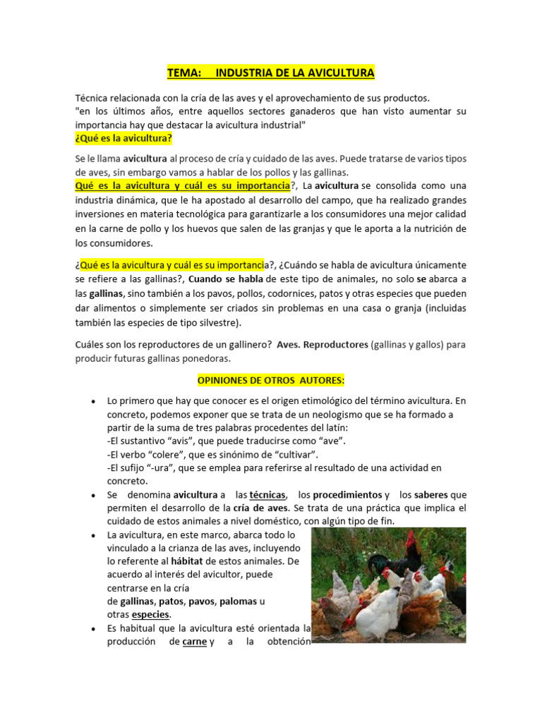 12F Pollitos 2021-2 | PDF